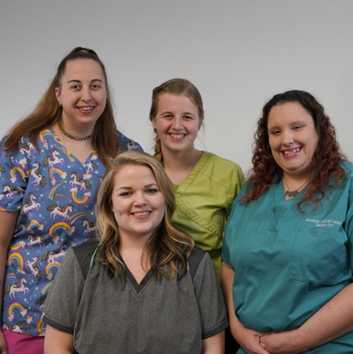 Advanced Care Pet Hospital St. Cloud MN | Vet Animal Clinic MN Vet 320 ...